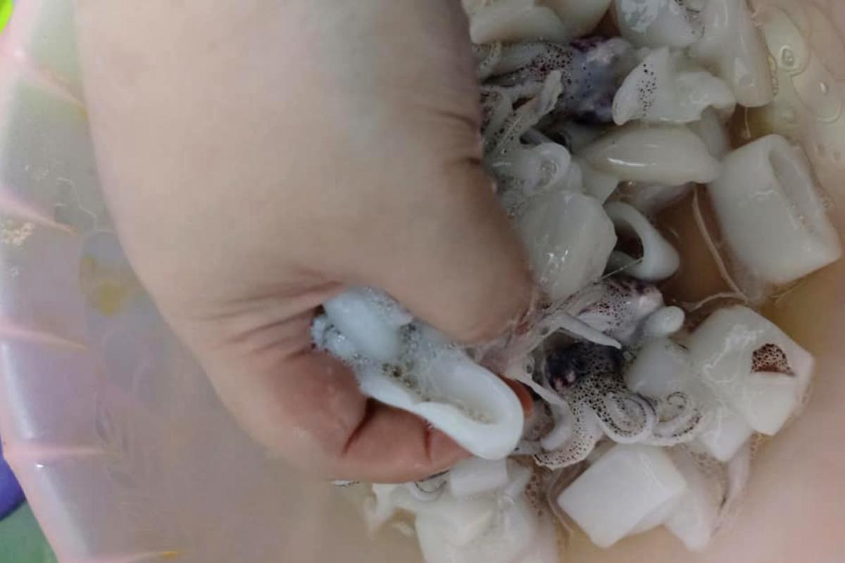 SECRET REVEALED! This Is How You Should Wash Squid To Get Rid Of The ...