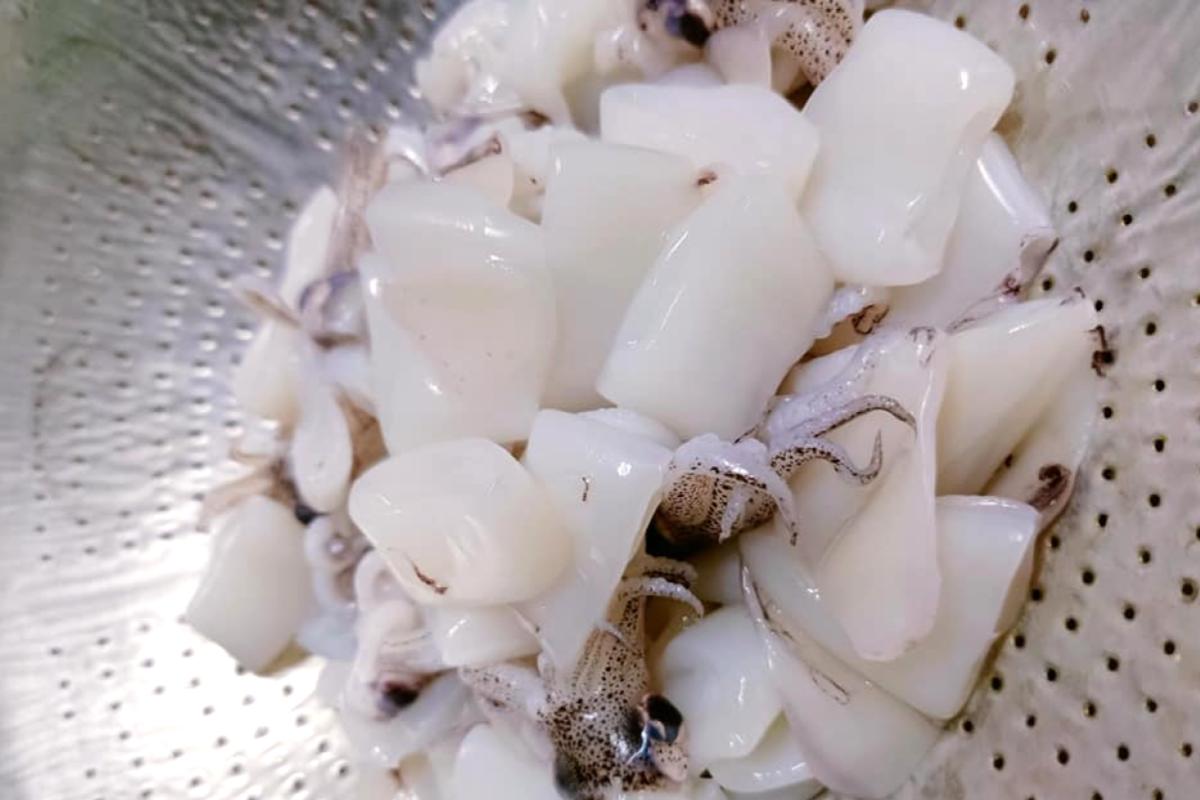 This Is How You Should Wash Squid To Get Rid Of The Fishy Smell