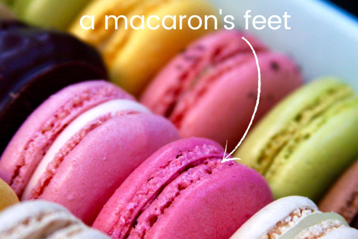How to Fix Macaron Problems | Macarons Guide