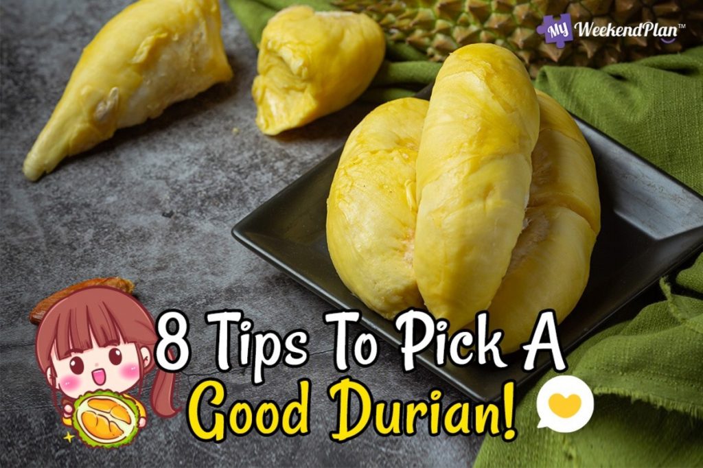 8 Tips on How To Pick A Good Durian | Tips & Tricks