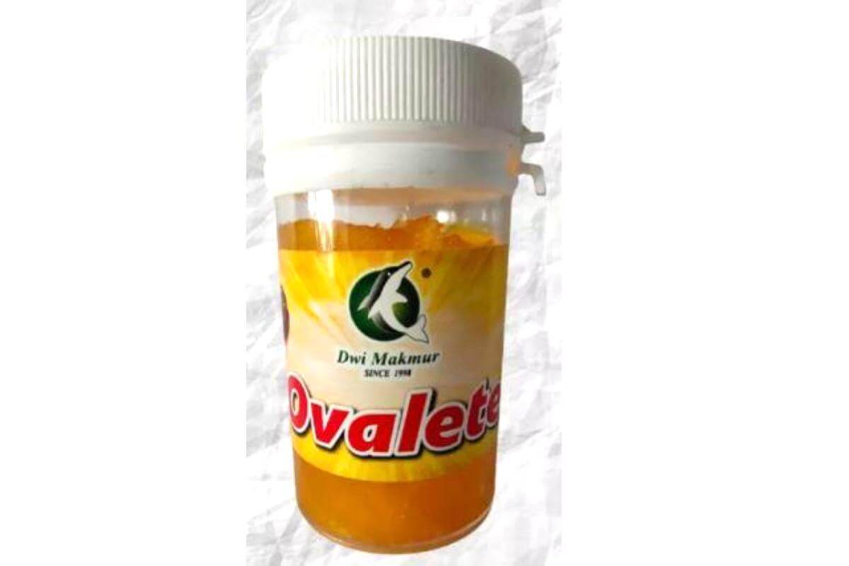 Top 10 Ovalette Available In Malaysia | Best Brands