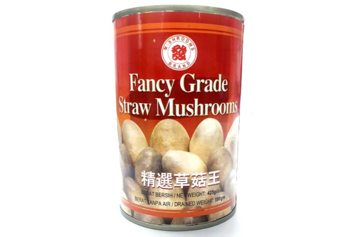 10 Cendawan dalam Tin Terbaik di Malaysia 2023| Lazat