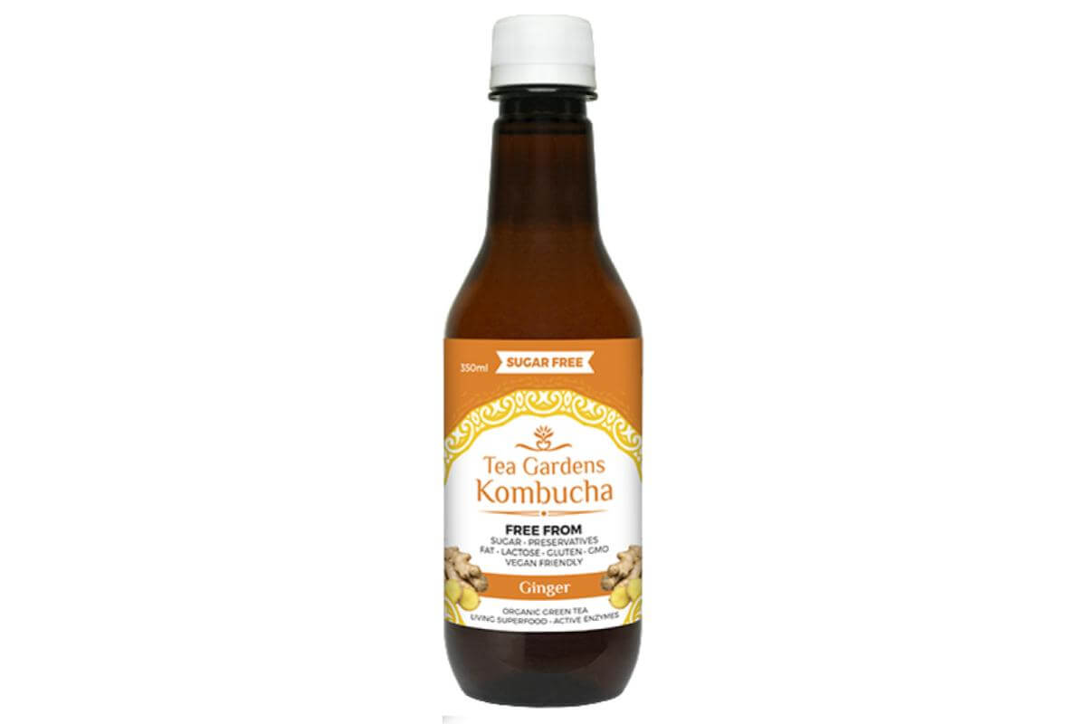 Top 10 Best Kombucha in Malaysia 2023 | Best Kombucha Brands