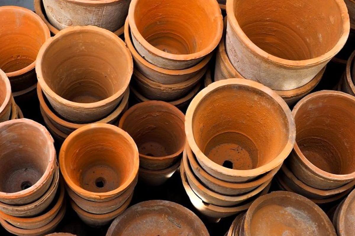 Uses For Baking Powder In The Garden | Baking Powder For Plants