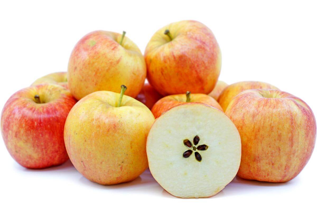 10 Jenis Epal Terbaik di Malaysia 2023 | Lazat