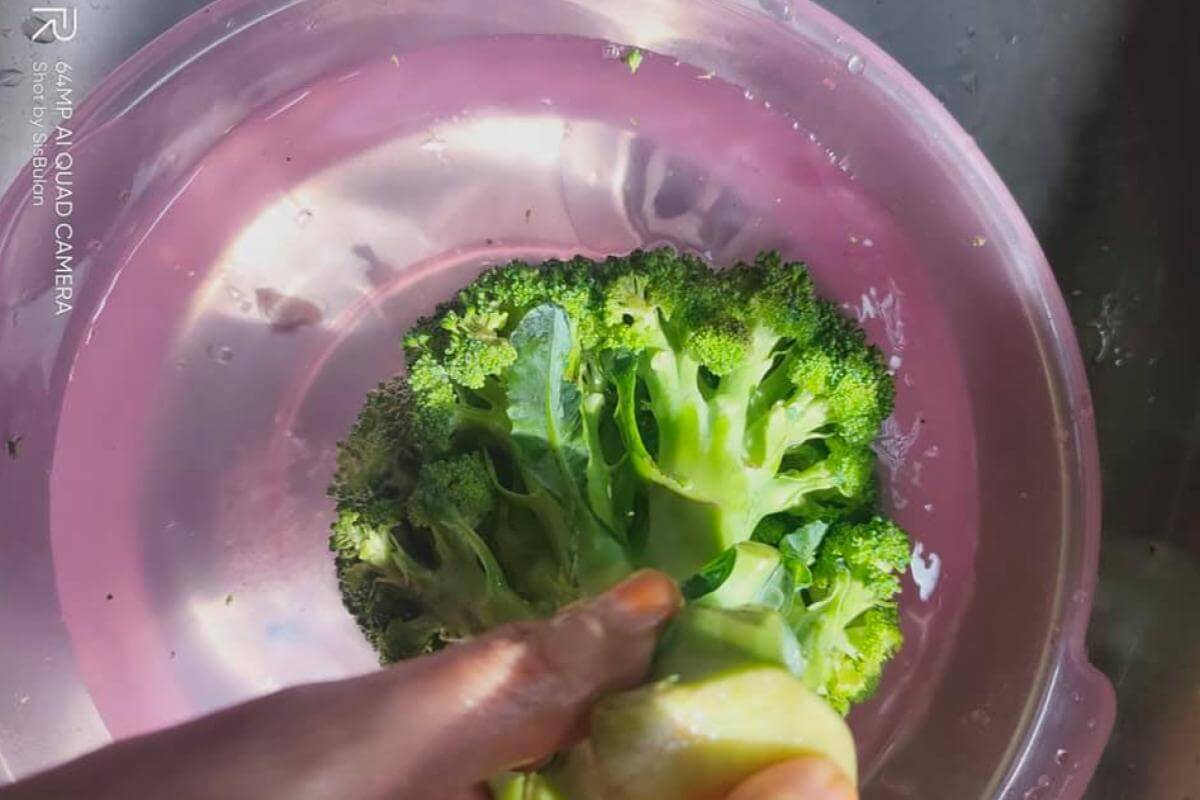 How To Wash Your Broccoli Before Cooking? | Broccoli Tips