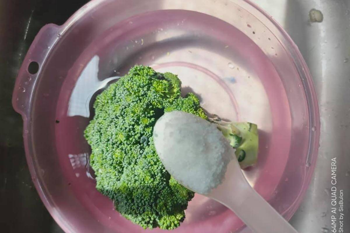 How To Wash Your Broccoli Before Cooking? | Broccoli Tips