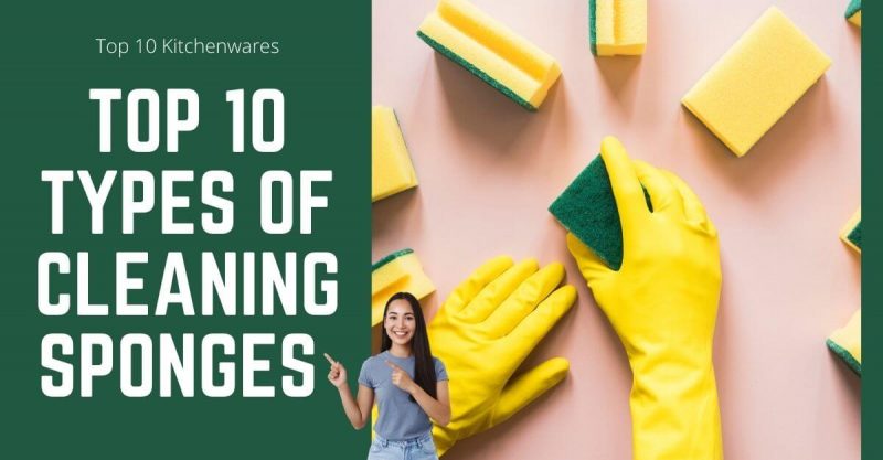 Top 10 Types of Cleaning Sponges 2022 | Kitchen Sponge
