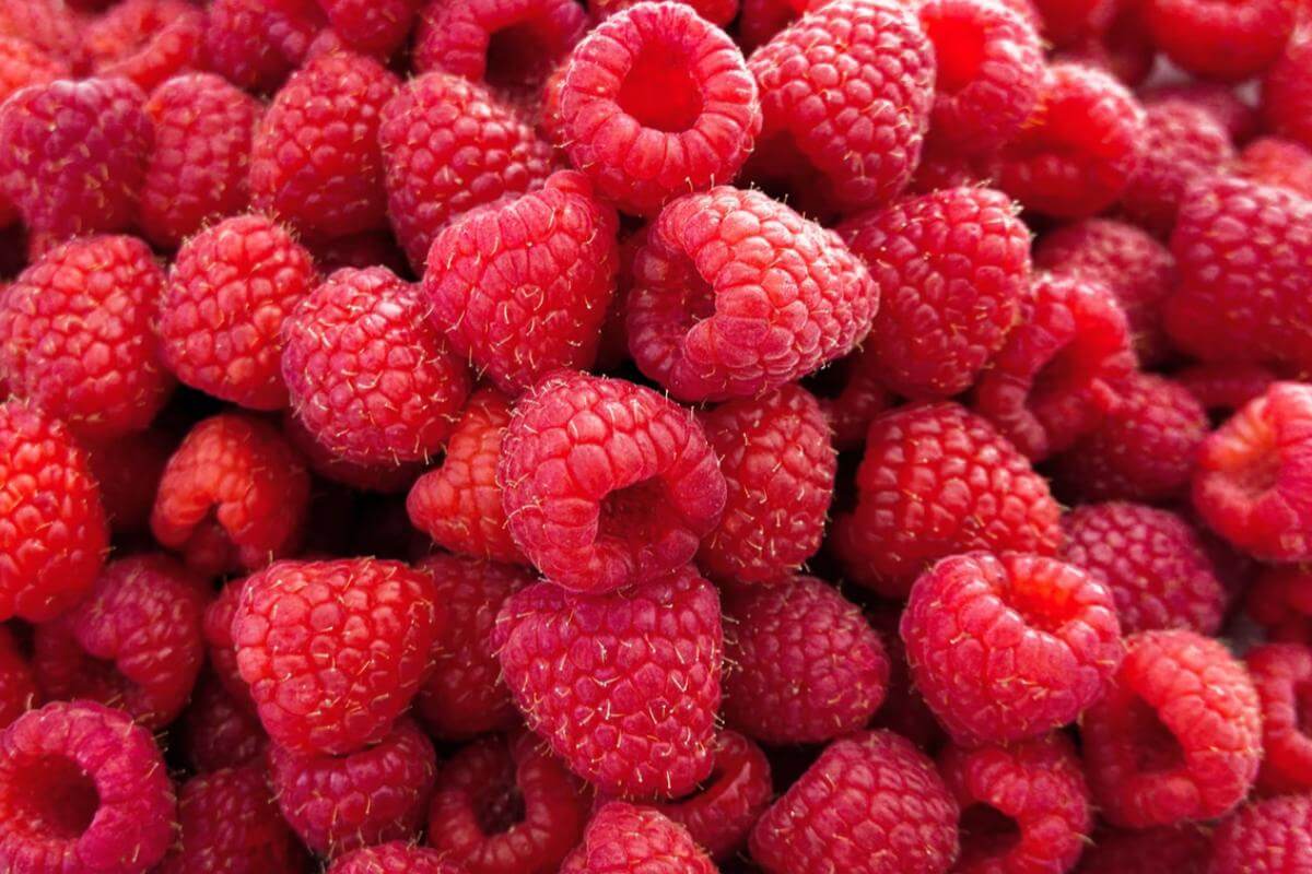 8 Buah Merah Terbaik di Malaysia 2023 | Terbaik