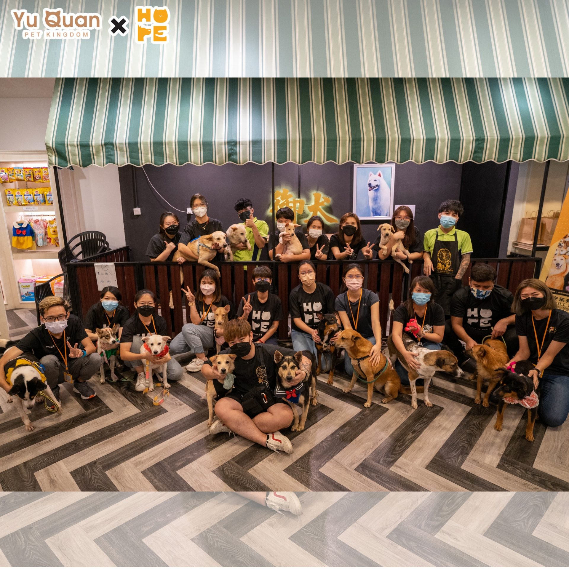 Top 9 Best Pet Cafes in Johor Bahru 2023 | Fur Friends