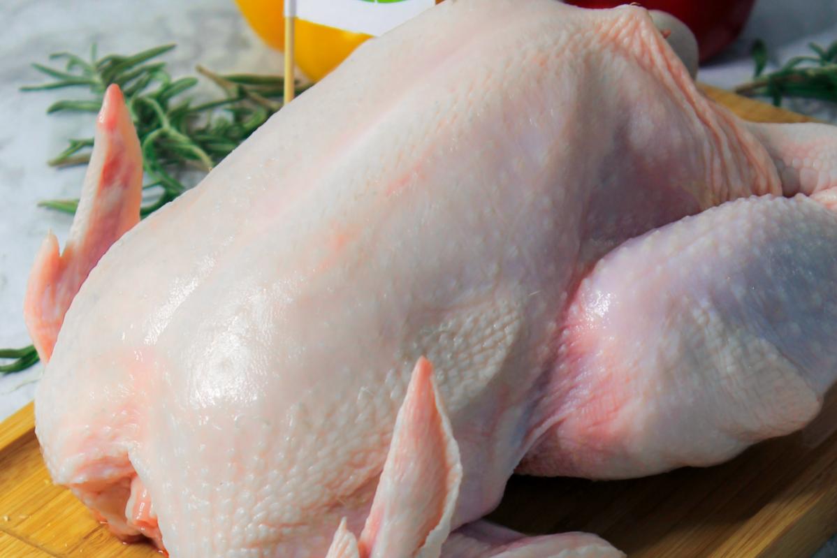 10 Pembekal Ayam Terbaik Di Malaysia 2023 | Terbaik