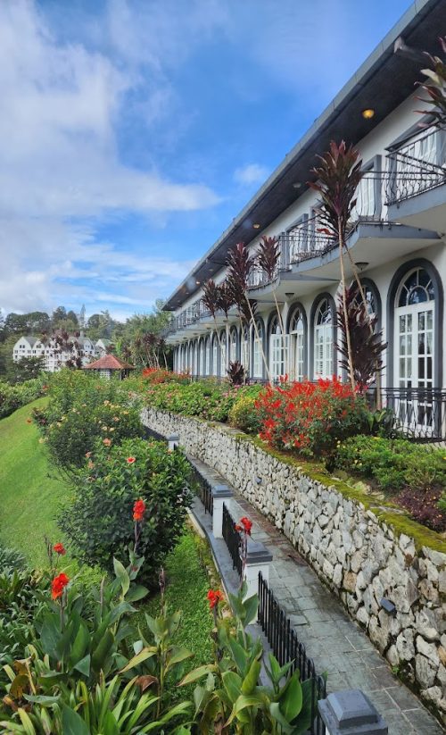 10 Best Things To Do in Cameron Highlands 2023 | Top Picks