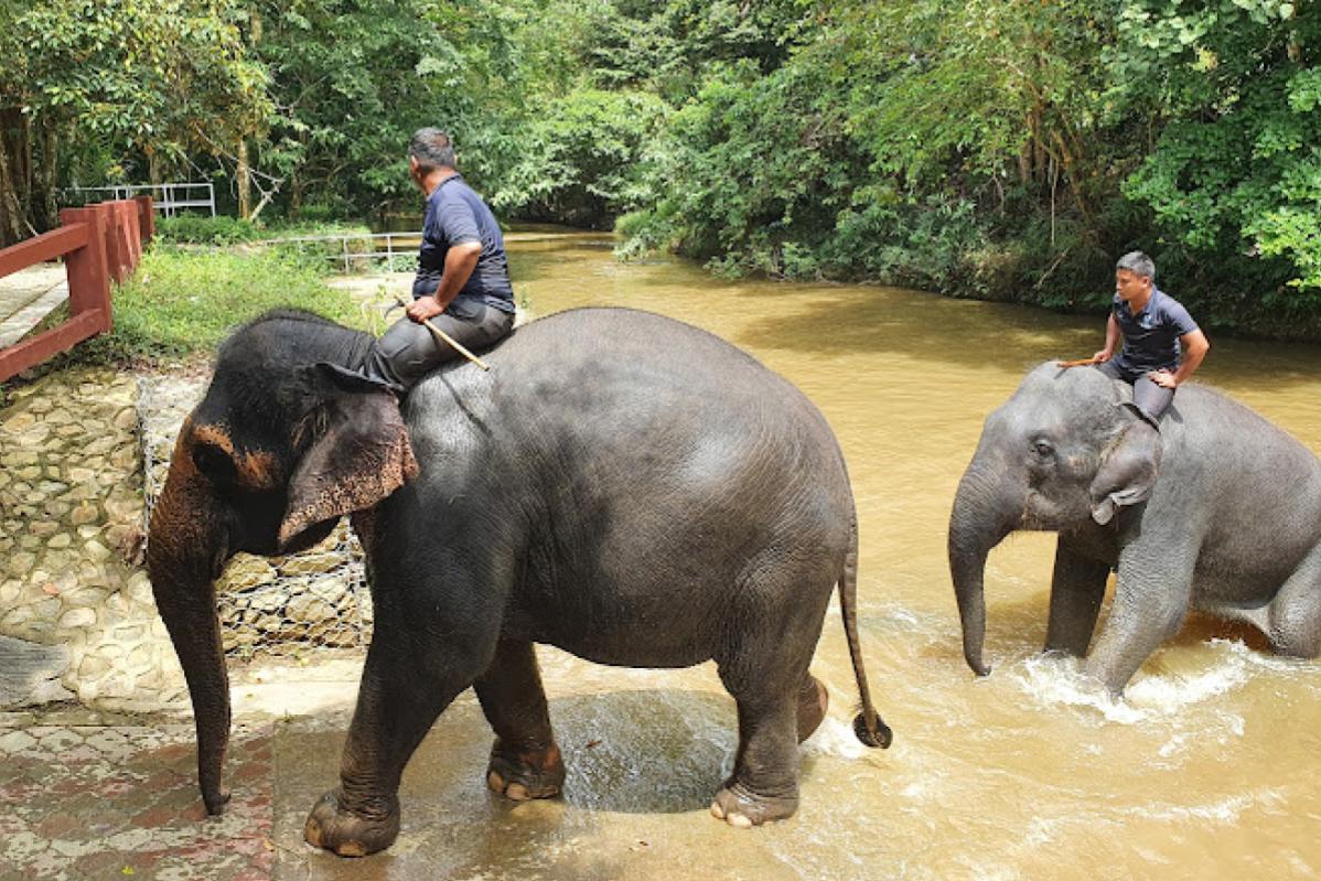 10 Best Things to Do in Pahang 2023 | Amazing Sights & Sounds