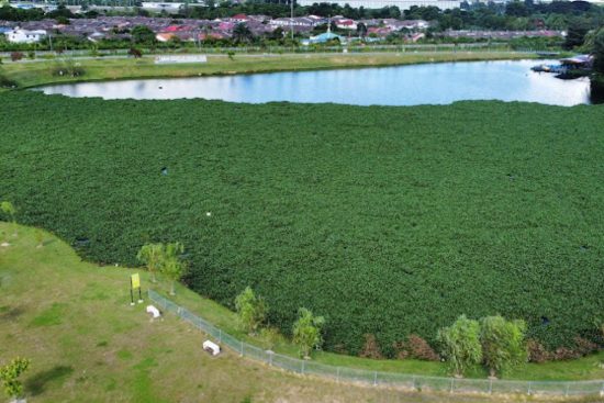 Top 10 Best Things To Do In Kajang 2023 | A Memorable Roadtrip