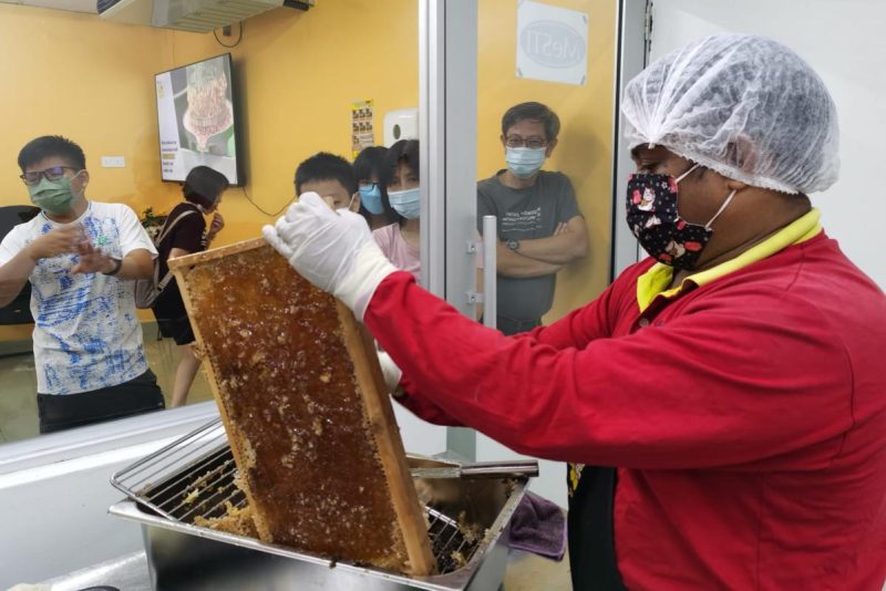 10 Best Things To Do in Sitiawan 2023 | A Unique Vacation