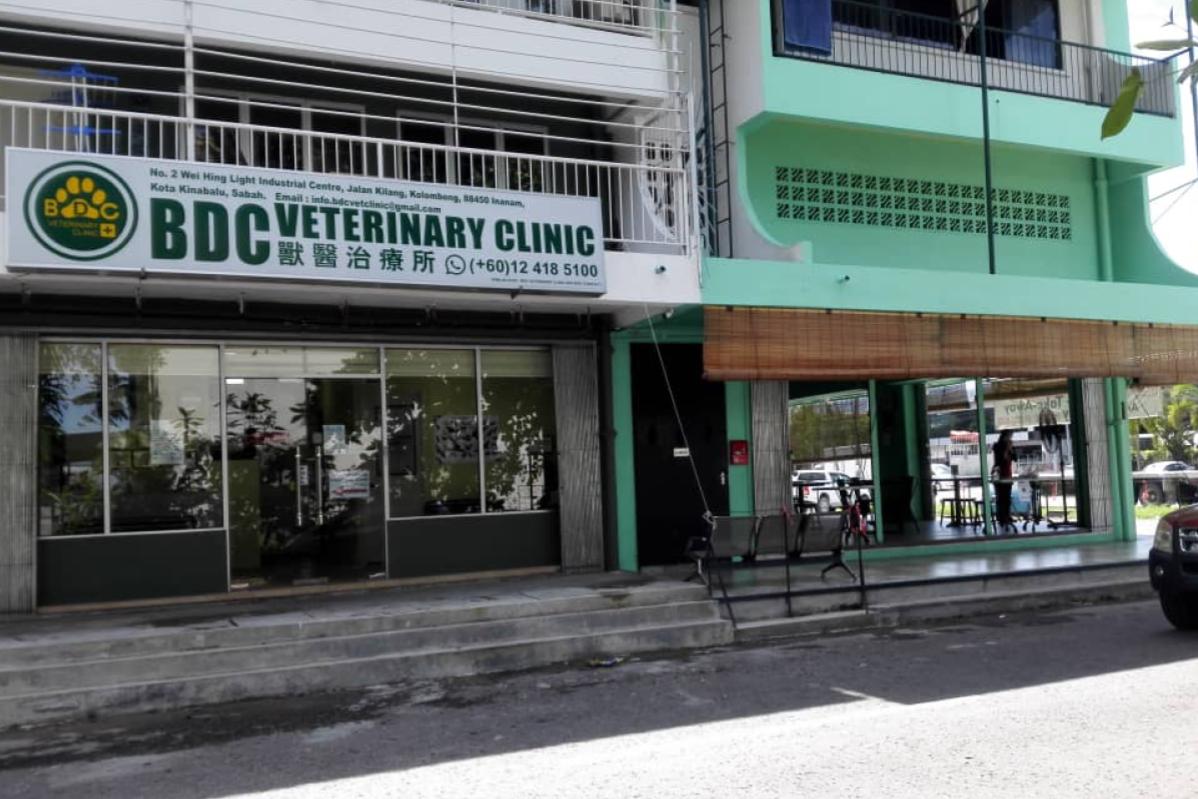 Top 10 Best Pet Clinics in Sabah 2023 | The best one