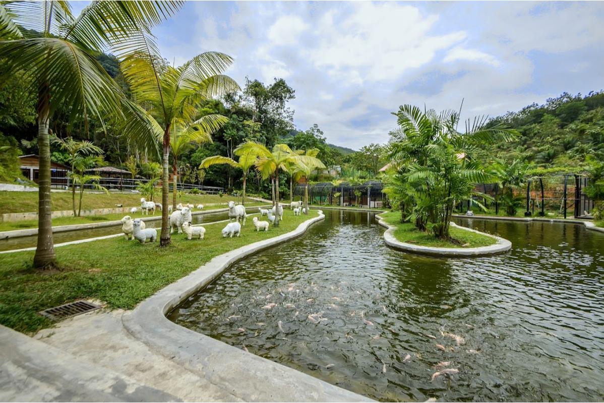 Top 10 Best Things To Do in Kampar 2023 | You Only Live Once